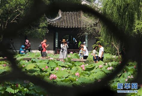 苏州拙政园荷花节开幕 新闻中心 温州网