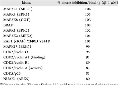 Kinase Panel Selectivity Of 15 A Download Scientific Diagram