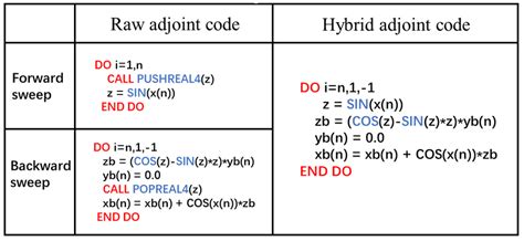 Case 2 The Raw Adjoint Code And The Hybrid Adjoint Code Download