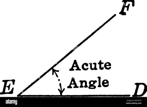 Acute Angle In Geometry