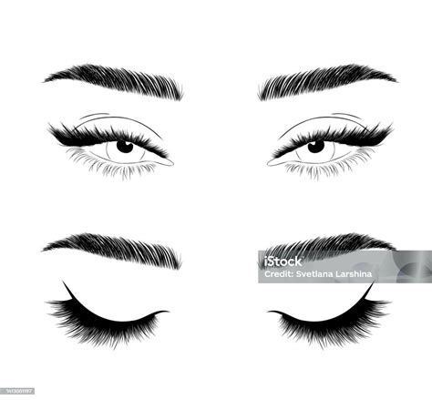 현실적인 여성 눈의 세트 여성 속눈썹과 눈썹 라미네이션 및 확장 속눈썹 뷰티 스튜디오 로고 트렌디 한 미니멀리스트 스타일의 선형 벡터 일러스트 레이 션 긴에 대한 스톡 벡터