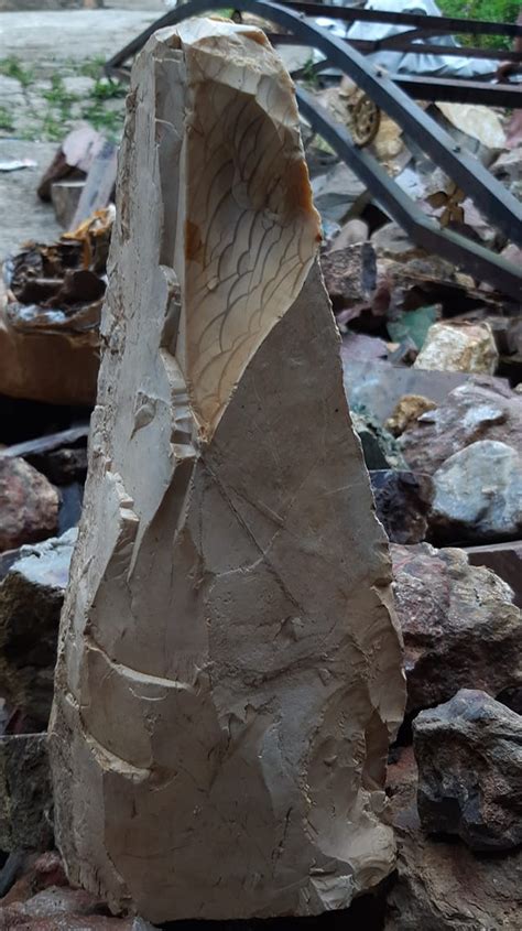 4r Fast Formed Fractal Dendrite Mysite