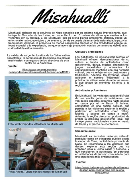 Baese Linea 15a Pdf Zoo Ecuador