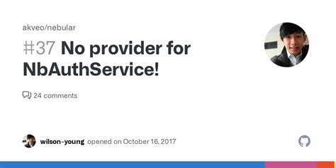 No Provider For NbAuthService Issue Akveo Nebular GitHub