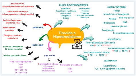 Mapa Mental Hipotireoidismo Endocrinologia