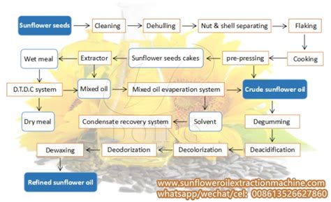 Sunflower Seed Oil Production Manufacturing Process Analysis And