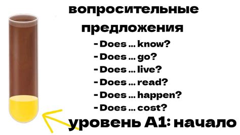 Вопросы на английском в третьем лице Рекомендуется слушать предложения