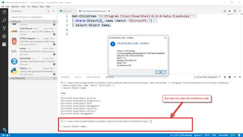 Vscode Integrated Terminal Not Clearing Multi Lines Entry When Pressing Esc Key · Issue 998