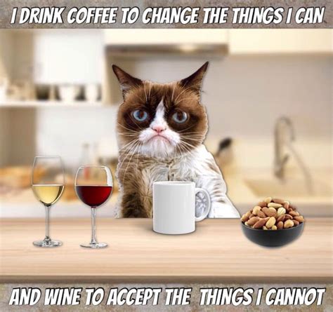 Grumpy Cat Life ☕️🍷 Grumpy Cat Grumpy Cat Quotes Grumpy Cat Humor