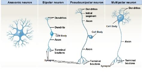 Figure 21 From A Multimodal Deep Learning Approach For Real Time Fire Detection In Aerial