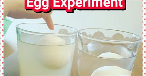 Harry And The Purple Crayon Egg Experiment Sink Or Float