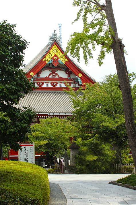 가족 가족 시간 감정적인 건축 고요함 관광 교토 기도공 다채로운 도쿄 동아시아 딸 문화 유산 문화적 보살피는 부드러운 빛 부모 사당 선명한