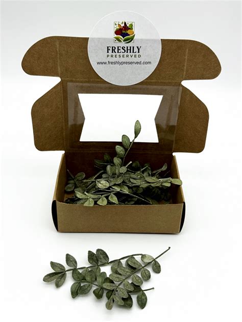 Freeze Dried Edible Kinome Leaves Freshly Freeze Dried Flowers