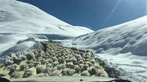 Abano Pass Tusheti Youtube