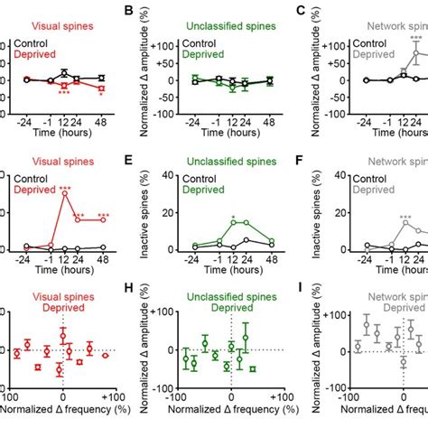 Identifying Functional Subsets Of Dendritic Spines In Visual Cortex 432 Download Scientific