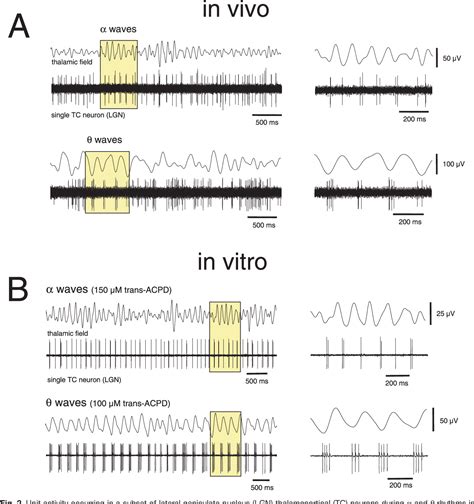 Alpha Rhythm Semantic Scholar