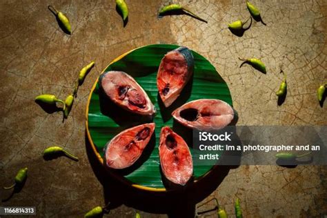 힐사 또는 일리쉬 물고기 조각 테누아로사 일리샤는 서벵골 인도와 방글라데시의 유명한 물고기입니다 건강한 생활방식에 대한 스톡 사진 및 기타 이미지 Istock