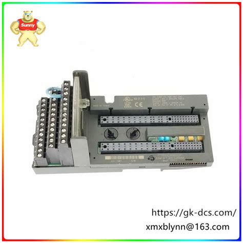 Ic200chs002 I O Carrier Module The Module Mainly Has 36 Terminals