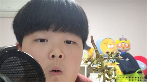 기본 포도 먹방 Youtube