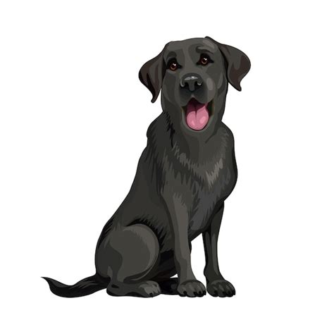 Black Labrador Clipart Labs4rescue Inc Save A Lab Have A Friend