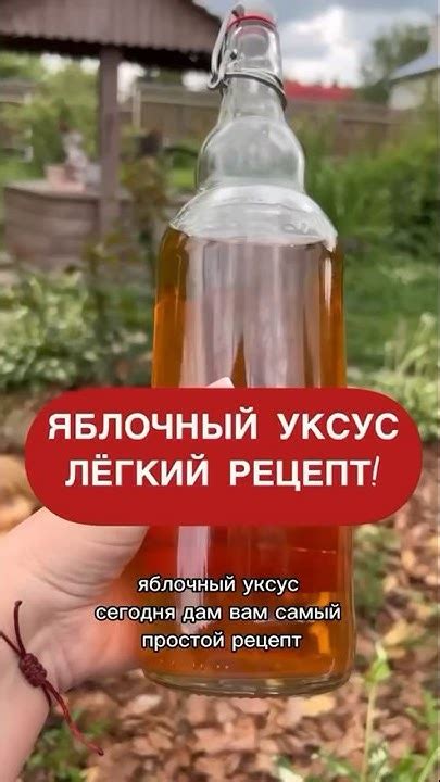 Яблочный уксус самый простой рецепт Youtube