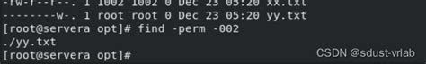 Linux万能查询命令——find命令find 查询 Linux Csdn博客