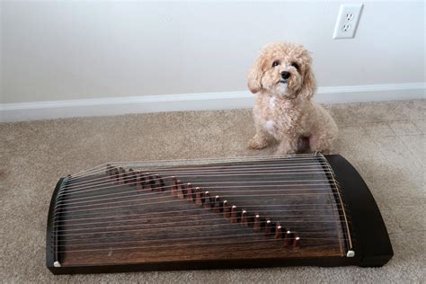 Tuning To Diff Keys On Diatonic Guzheng