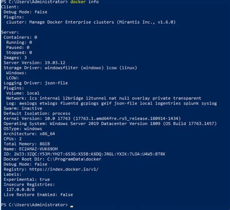 Unable To Run Linux Docker Containers On Windows Server 2019 On Aws