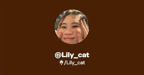 Lily Cat Instagram Tiktok Linktree