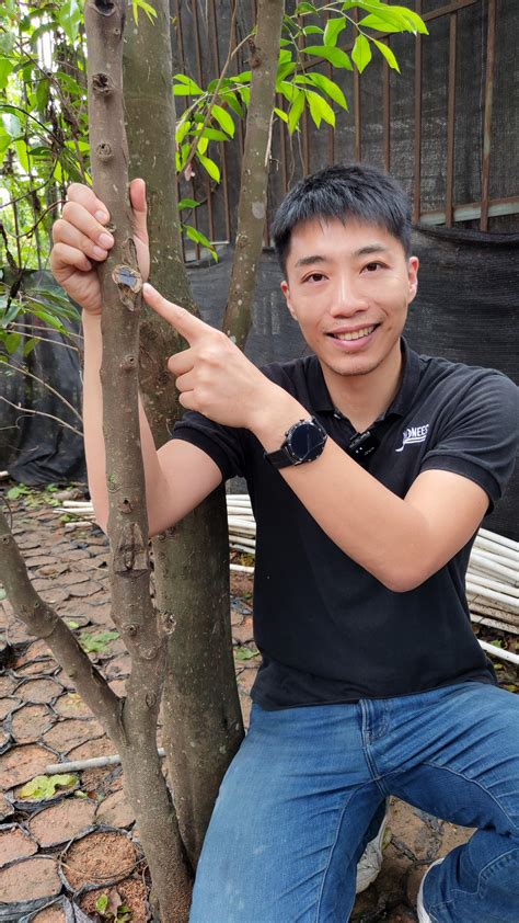 原木香 生活香 【綠棋楠沉香】 現代人專屬的「棋楠香」 綠棋楠沉香 自從去年一推出，隨即受到眾多