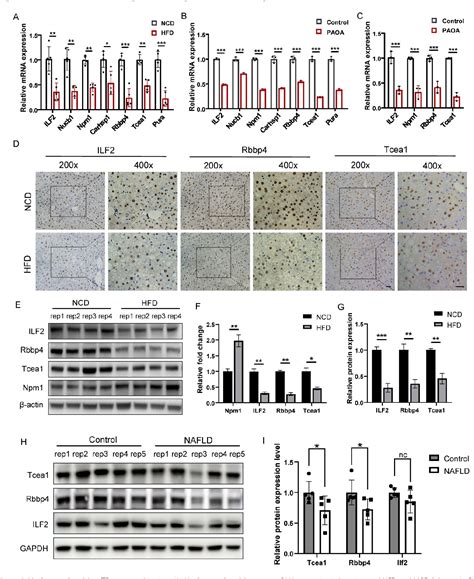 Figure 4 From Quantitative Proteomics Of Hfd Induced Fatty Liver