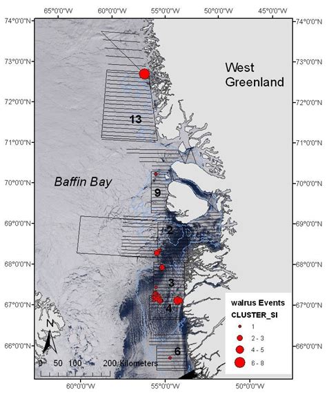 Realized Survey Effort And Sightings Of Walruses In West Greenland In
