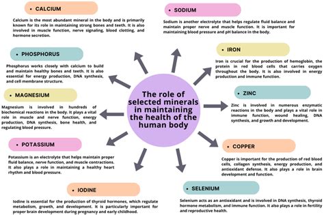 The Role Of Selected Minerals In Maintaining The Health Of The Human Download Scientific