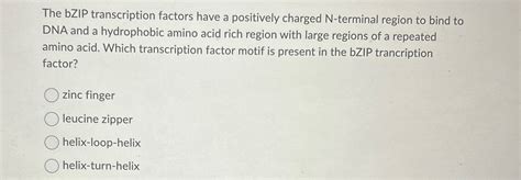 Solved The Bzip Transcription Factors Have A Positively