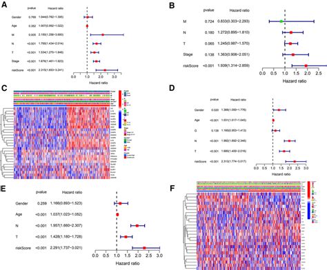 Univariate And Multivariate Cox Regression Analyses For Risk Score A