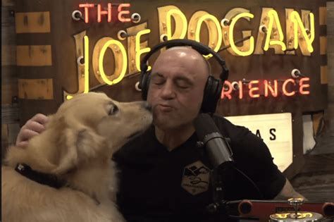 Wholesome Joe And Marshall R Joerogan