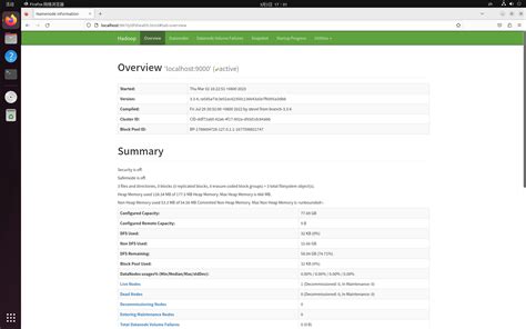 在 Ubuntu 22 的基础上进行 Hadoop 伪分布式（hdfs）的搭建 流白李 博客园