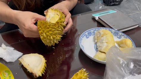 开榴莲 哔哩哔哩 bilibili