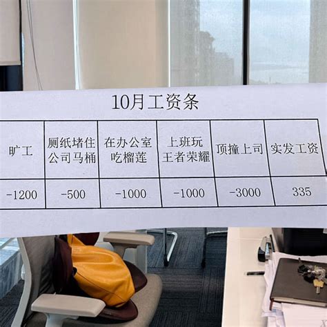 工资条6