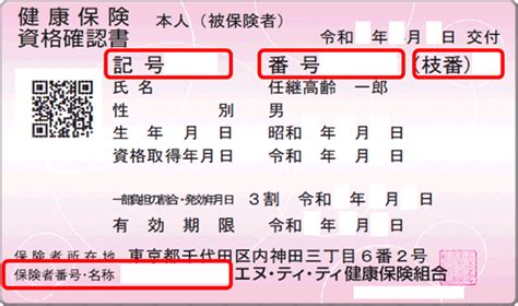 健康保険証の情報の確認方法