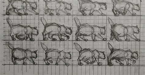 Cat Walking Animation Album On Imgur