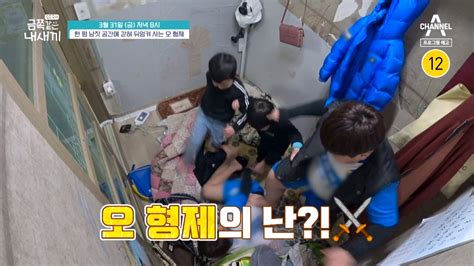 한 평 남짓한 공간에 갇혀 뒤엉켜 사는 오 형제 금쪽이네의 사연은 요즘 육아 금쪽같은 내새끼 140 회 Youtube