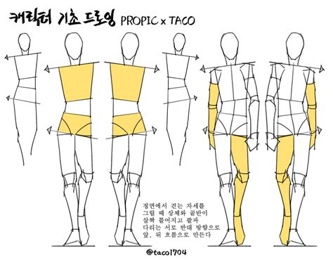 「정면 걷는 자세에서 상체와 골반이 틀어지고 팔과 다리는 서로 반대 방향인 앞 뒤 흐름이 된다 」타코작가の漫画
