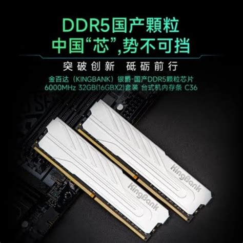 킹뱅크 국산 Ddr5 출시 중국 Cxmt 양산 성공 디지털 컴퓨터 폰 It 에펨코리아