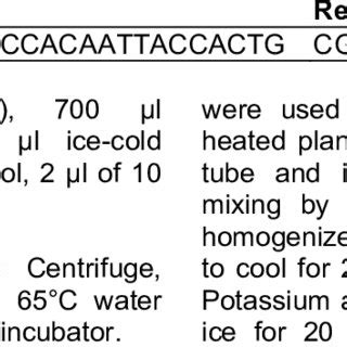 List Of SSR Primer And Its Sequence Used In This Study Download Scientific Diagram