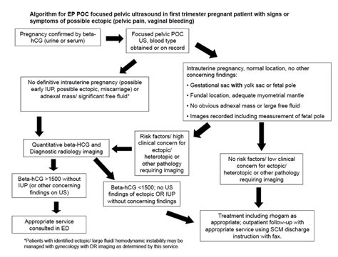 Pelvic Ultrasound Ectopic