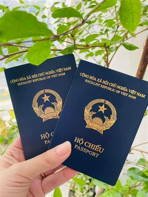 HỘ ChiẾu Passport Online Đại Hành Trình