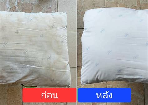 ศูนย์รวมสมุนไพรไทยในบ้าน ทำไมเพิ่งรู้ วิธีซักหมอนให้ขาวด้วยการซักมือ 🤗 1 นำหมอนมาแช่ในน้ำ