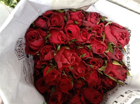 โทนแดง สวนคัตเตอร์เชียงใหม่ ดอกไม้สด ขายส่ง เชียงใหม่