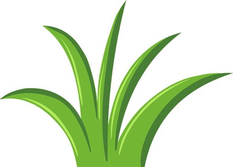 Different Small Grass Element For Enhancing Natural Landscapes In